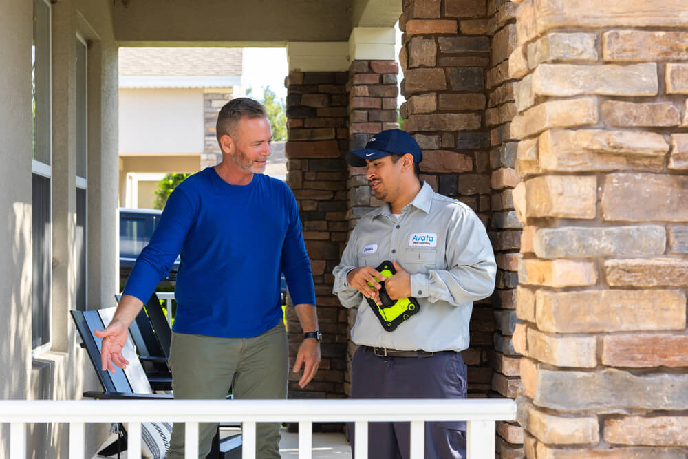 Best Rodent Control Services in Clermont Florida